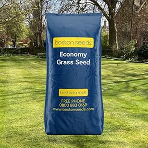 Boston Seeds Economy Grass Seed, Fast Growing for Lawns & Landscapes ...