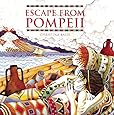 Pompeii (My Story): Amazon.co.uk: Sue Reid: 9781407152547: Books