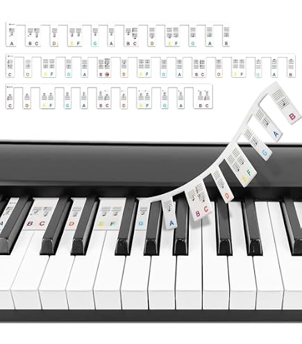 Teclas De Piano Etiquetadas