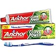 Anchor Clove Power Toothpaste 175 gm Pack : Amazon.in: Health ...