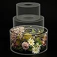3 Pcs Acrylic Cake Stand with LED Light Strings Clear Fillable Cake ...
