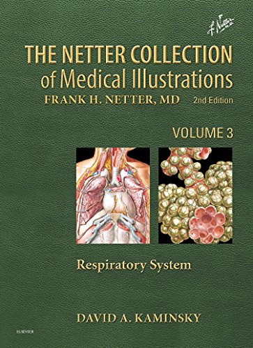 Buy The Netter Collection of Medical Illustrations: Respiratory System ...