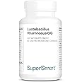 Lactobacillus Rhamnosus GG - Probiotic - Balances Microbiota and Gut ...