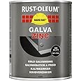 RUST-OLEUM 1085.1 Hard Hat Galva Zinc, The No. 1. Zinc Coating, Matt ...