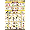 Buy TAC08 | TEACHINGNEST Malayalam Alphabet Chart | Laminated 33x48 cm ...