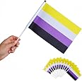 Runesol 12 Pack Hand Held Non Binary Mini LGBTQ+ Flags, 14cm x 21cm ...