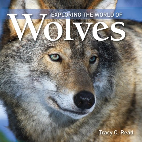 Exploring the World of Wolves : Read, Tracy C.: Amazon.fr: Livres