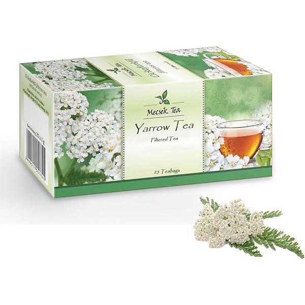 Yarrow Plant Tea Yarrow – Southwick Country Park Nature Reserve