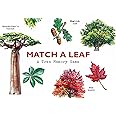 Match a Leaf: A Tree Memory Game: 1: Amazon.co.uk: Kirkham, Tony, Exley ...