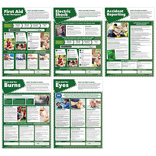 First Aid Posters Set Of 5 Health And Safety Posters | Desertcart KSA
