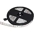 Buy protium 5050 SMD, 60LED/m 12V RGB Light Strip (5 m) PRSS060P20 ...