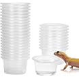 DERNORD Gecko Feeding Ledge Plastic Bowl - 5x3CM 30PCS Reptile Water ...