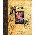 Good Faeries, Bad Faeries: 2 Books in 1 : Froud, Brian, Windling, Terri ...