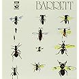 Barrett: Amazon.co.uk: CDs & Vinyl