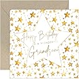 Special Grandson Birthday Card - Gold Foil Star Birthday Card for ...