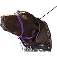 K9 Bridle - to stop your dog pulling (Medium, Purple) : Amazon.co.uk ...