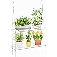 Lifewit 2-Tier Window Plant Shelves 38.1cm, Acrylic Adjustable Hanging ...