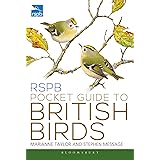 Our Garden Birds: a stunning illustrated guide to the birdlife of the ...