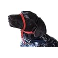 K9 Bridle - to stop your dog pulling (Medium, Red) : Amazon.co.uk: Pet ...