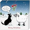 Twizler Funny Christmas Cards Pack of 12 - Sheepdog Antics Design - Funny Christmas Cards ...