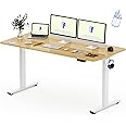 FLEXISPOT 160x80cm Electric Standing Desk Height Adjustable Desk ...