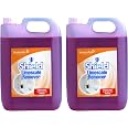 Shield Limescale Remover ~ 2 x 5 Litre : Amazon.co.uk: Grocery