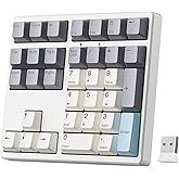 Amazon.in: Buy Kisnt Mechanical Number Pad,Hot Swappable Numpad Wired ...