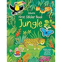 First Sticker Book Airports (First Sticker Books): Amazon.co.uk: Sam ...
