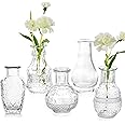 Amazon.de: Hewory Kleine Vase Glas Hochzeit Vasen Set: Vintage Blumenvase 5er Durchsichtig Deko ...