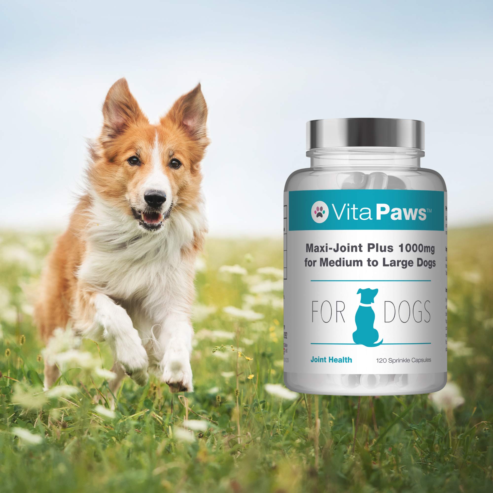 Maxi-Joint Plus 1000mg VitaPaws™ 120 Sprinkles Capsules | Advanced ...