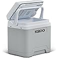 IGLOO IE24 DC elektrische Kühlbox, 24 Liter, Mini-Kühlschrank 12V für Auto, Boot und Freizeit ...