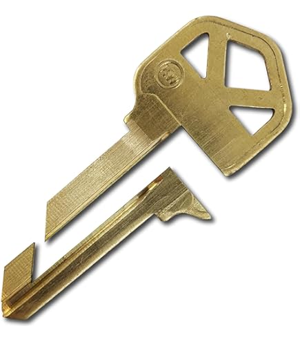 Jiggler Keys 18-Piece Pentesting Key Set - Includes CH751, CH501, FEO ...