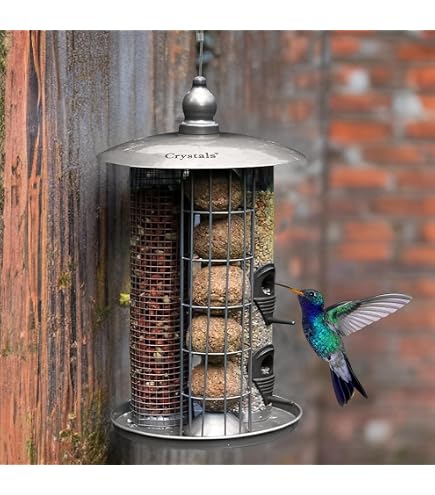 Acorn Fat Ball Feeder