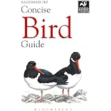 Concise Butterfly and Moth Guide (The Wildlife Trusts): Amazon.co.uk ...