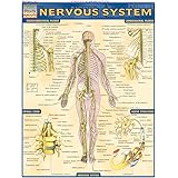 Japanese Grammar (Quick Study Academic) : Uo, Sumiko, BarCharts ...