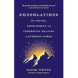 Consolations: The Solace, Nourishment and Underlying Meaning of ...