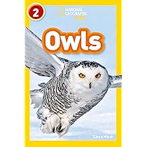 Owls For Kids Amazing Animal Books For Young Readers Scribd ⭐ Back