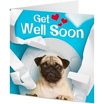 Black Pug Get Well Soon Japanese Greeting Card: Get Well Soon Frenchie