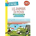 Amazon.fr - En route pour la dictée ! CE1 - Les animaux du monde - Ed. 2024 - Fichier de l ...