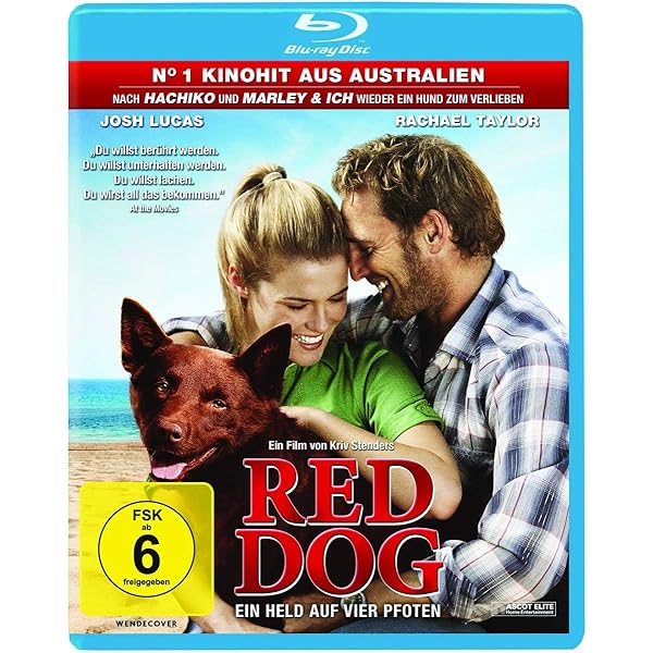 Eight Below Dogs Shadow Eight Below [Blu Ray]: Amazon.de: DVD