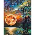 Fokenzary DIY Paint by Numbers Painting Canvas for Kids or Adults ...