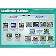 Classification of Animals Science Poster - EXTRA LARGE A1 (850mm x ...