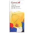 Camel Acrylic Color Box-20Ml Tubes,12 Shades,Multicolour : Amazon.in