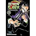 Demon Slayer: Kimetsu no Yaiba, Vol. 13 (Volume 13): Transitions ...