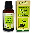 Makes 12+ Litres of Slug & Snail Repellent Spray. Tried & Tested ...