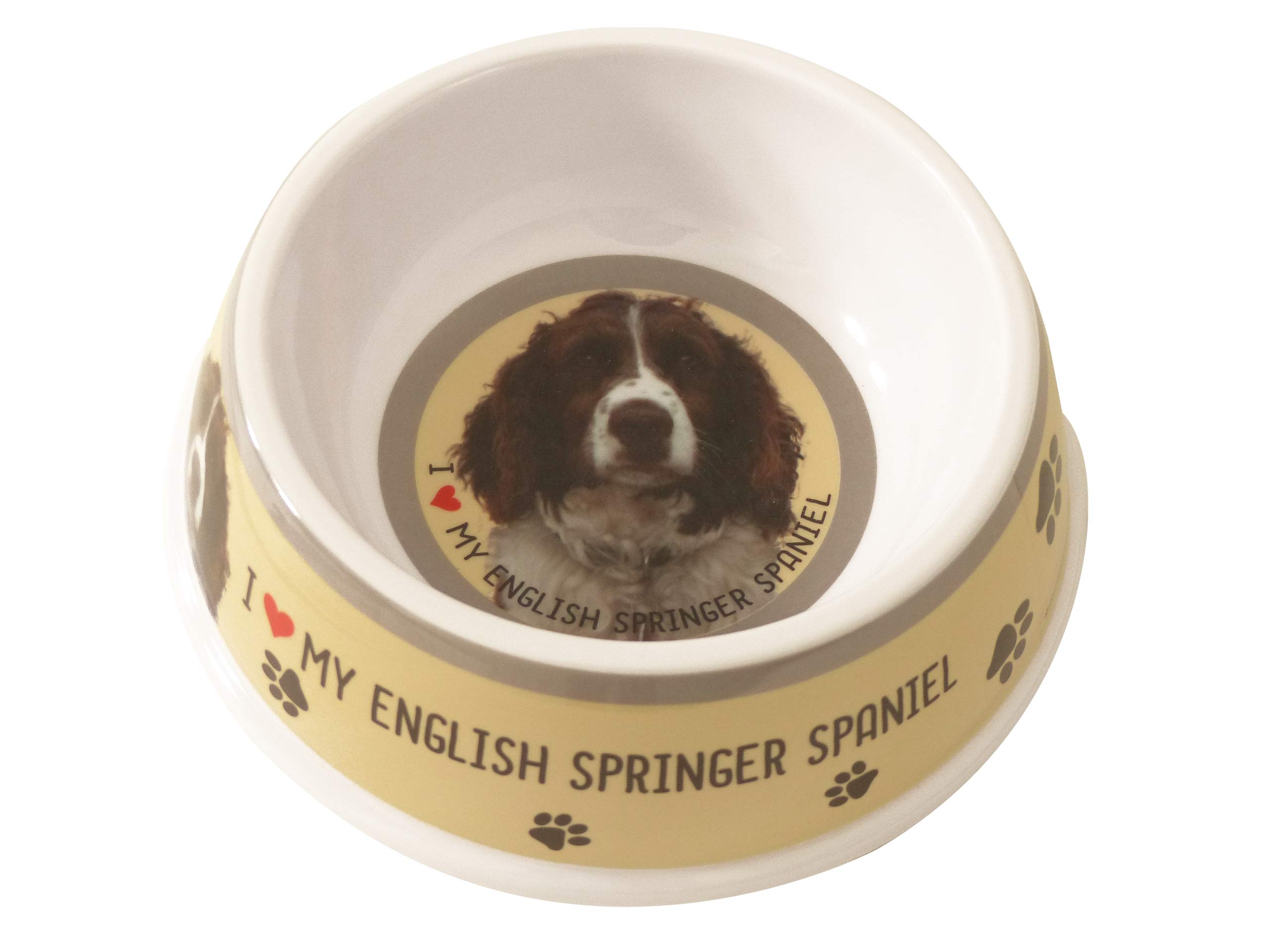 English Springer Spaniel