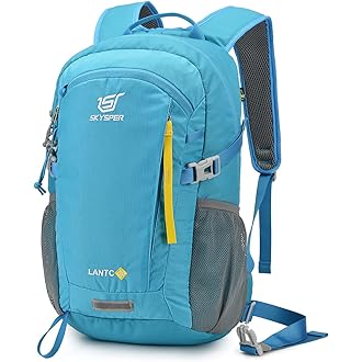 Trekking Backpack (40 L) Colour Teal 4F: Sportswear And