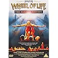 Shaolin Wheel of Life [Reino Unido] [DVD]: Amazon.es: Guo Jinming, Chen ...