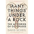 Many Things Under a Rock: The ‘mind-blowing’ book that reveals the ...