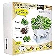 Semillas Batlle 160117UNID Seed Box Culinarias, 16x2x11 cm: Amazon.es ...
